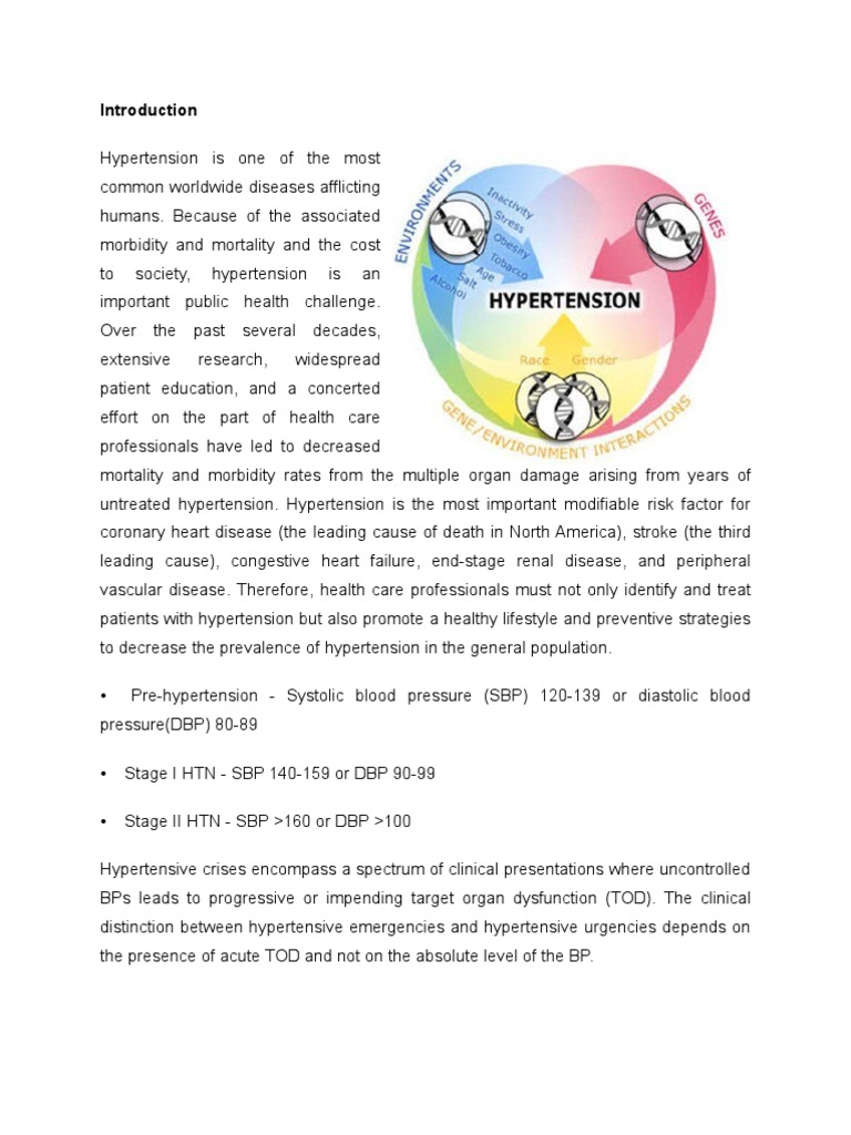 Stroke in Evolution | PDF | Urinary Bladder | Kidney