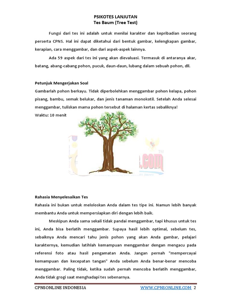 BAUM Test PDF | PDF