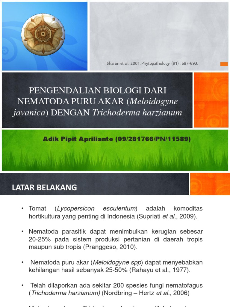 Pengendalian Nematoda Puru Akar (Meloidogyne Javanica) Dengan ...