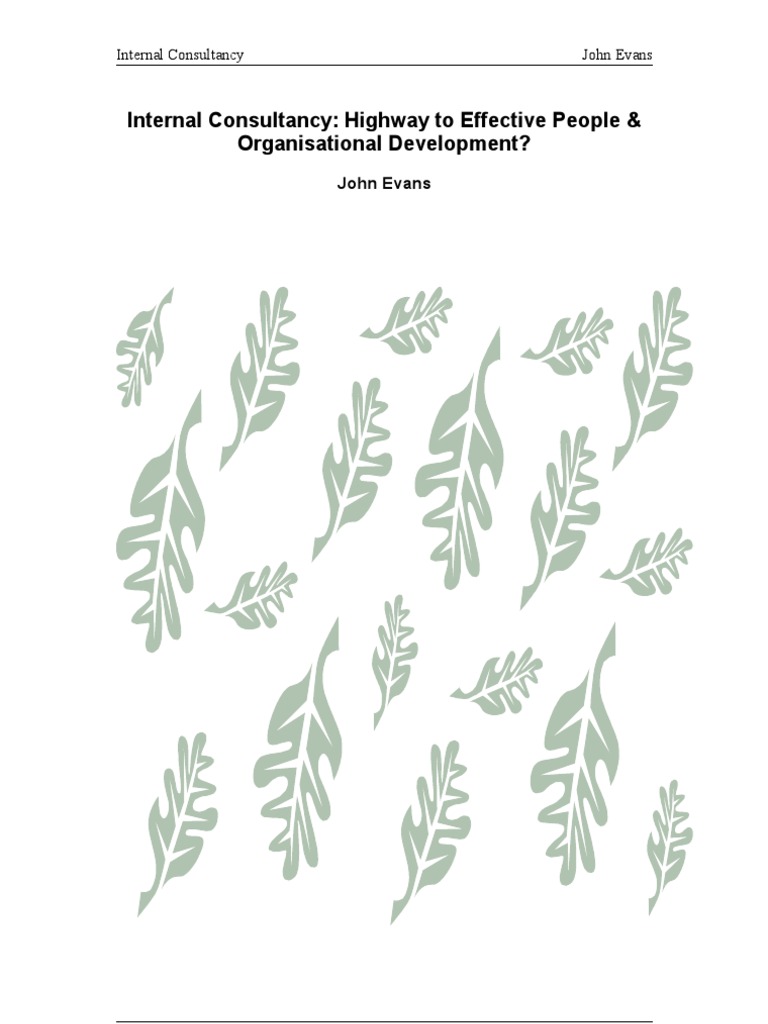 Internal Consultancy | PDF | Consultant | Expert