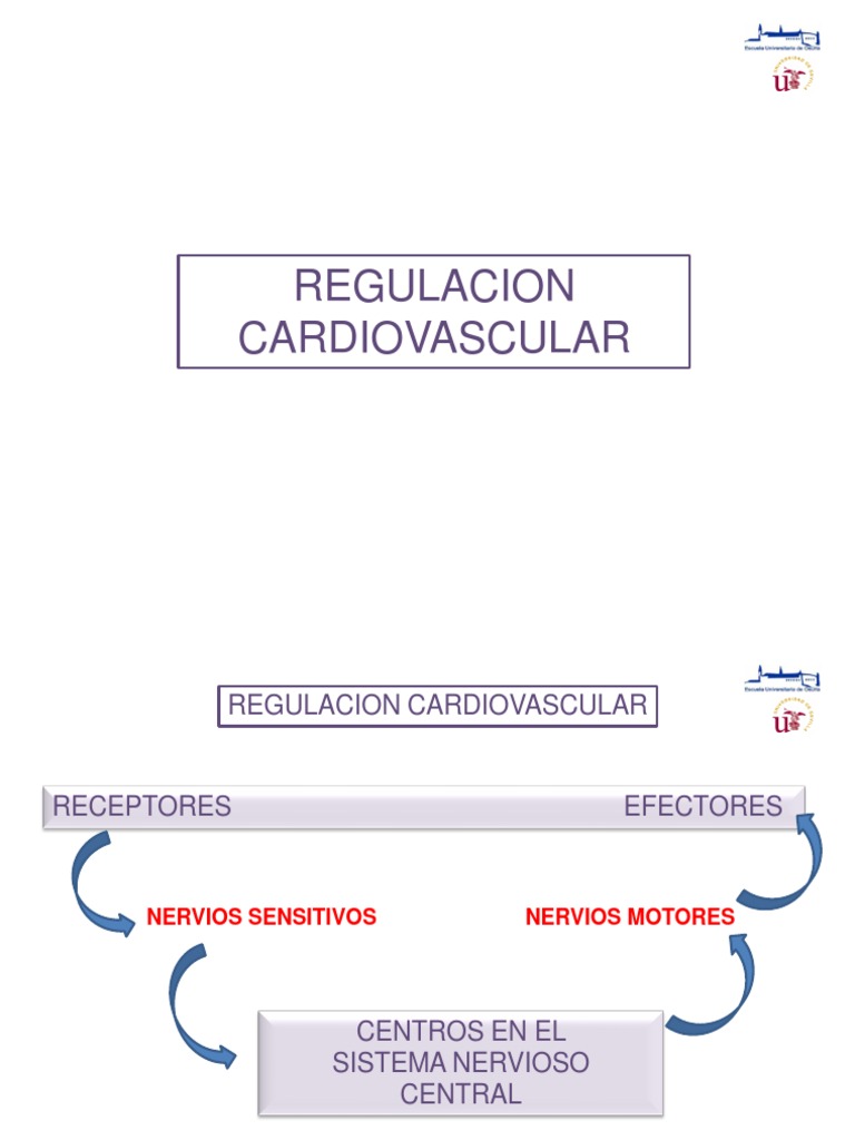 Bloque II. Tema 3. Regulacion Cardiovascular | PDF | Vasodilatación | Hemodinámica