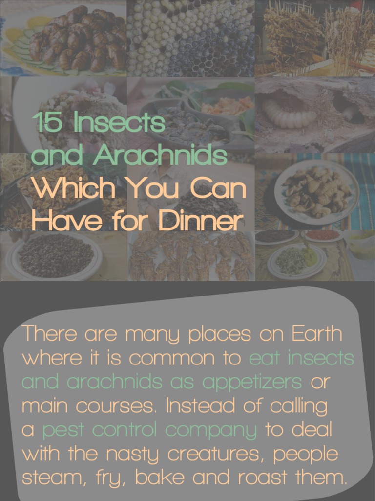 15 Insects and Arachnids Which You Can Have For Dinner | PDF | Lifestyle