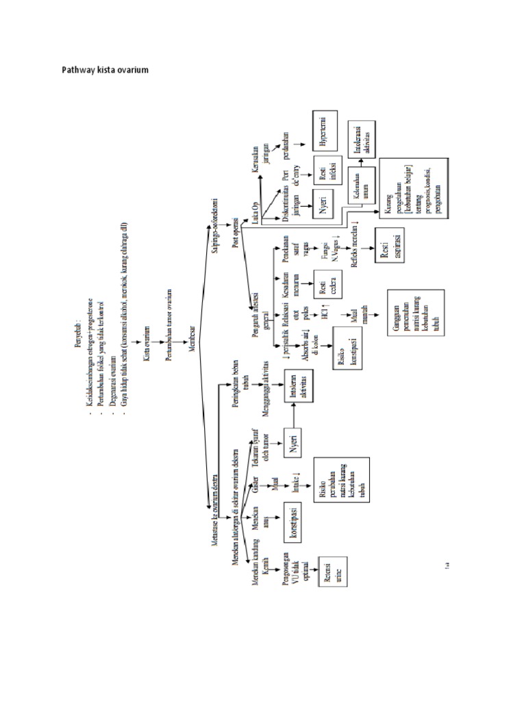 Pathway Kista Ovarium | PDF