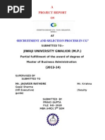 IIM CV Template | PDF