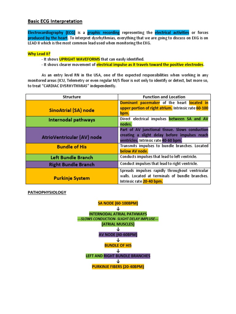 Basic EKG Interpretation | PDF | Electrocardiography | Heart