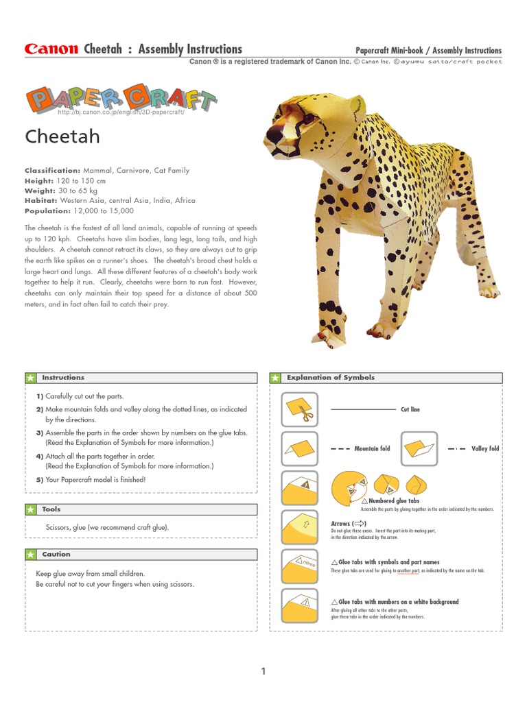 Cheetah I e A4 | PDF | Games & Activities | Language Arts & Discipline