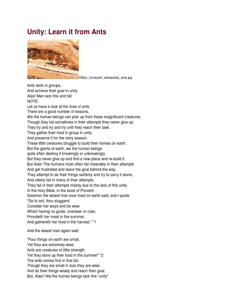 The Lessons From Ants | PDF | Ant | Bible