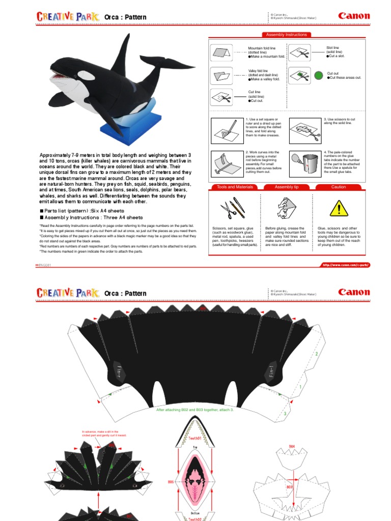 Step-by-Step Instructions for Assembling an Orca Paper Model | PDF