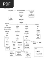 Patofisiologi/pathway Diabetes Mellitus Tipe 2 | PDF | Kesehatan ...