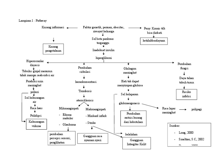 Pathway DM | PDF | Kesehatan Holistik