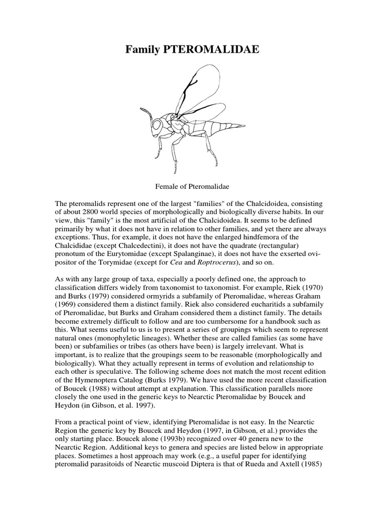 PTEROMALIDAE Family Overview | PDF | Wasp | Insects
