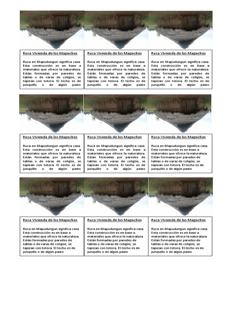 Ruca: Casa Mapuche Natural | PDF