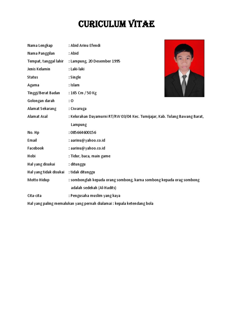 CV Abid Arinu Efendi | PDF