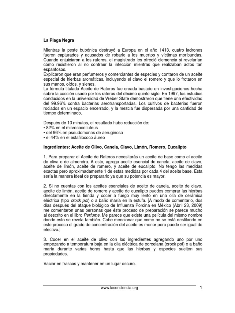 Aceite de Rateros | PDF | Petróleo | Olla de cocción lenta