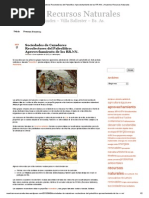 Anexión RD a España: Causas y Efectos | PDF | República Dominicana ...