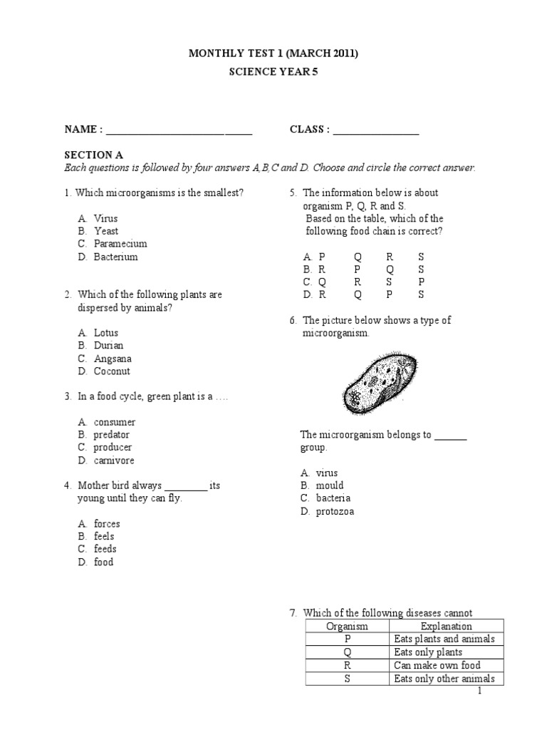 Monthly Test Science Year 5 | PDF | Microorganism | Plants