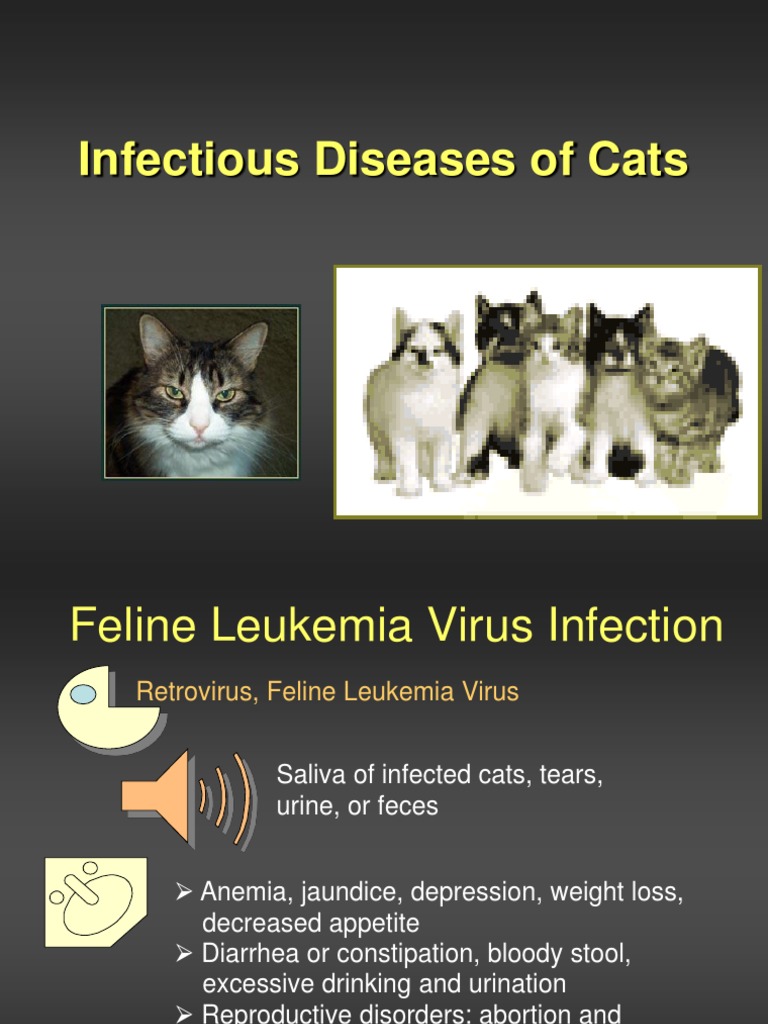 Infectious Diseases of Cats | PDF | Infection | Veterinary Medicine