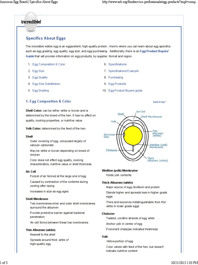 American Egg Board - Specifics About Eggs PDF | PDF | Yolk | Egg As Food