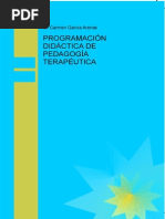 Modelo Programación PT | PDF | Educación primaria | Aprendizaje