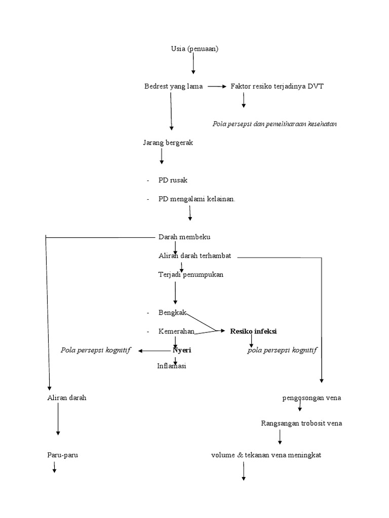 Risiko DVT dan Dampaknya | PDF | Kesehatan Holistik