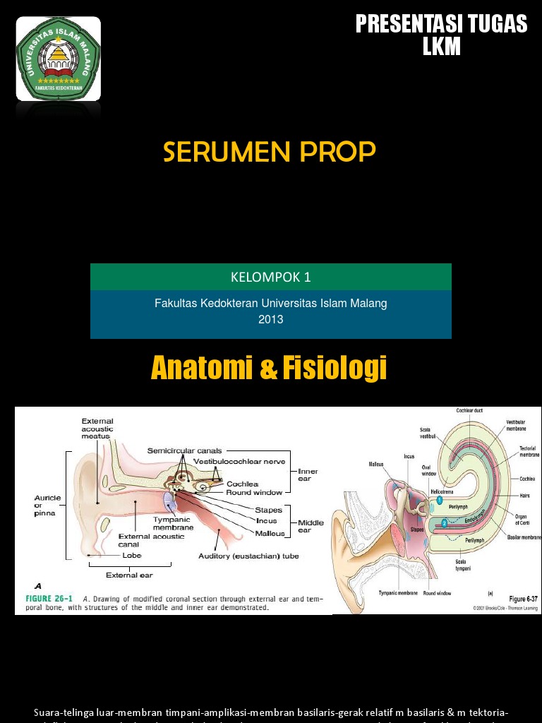 LKM Kel 1 Serumen Prop | PDF