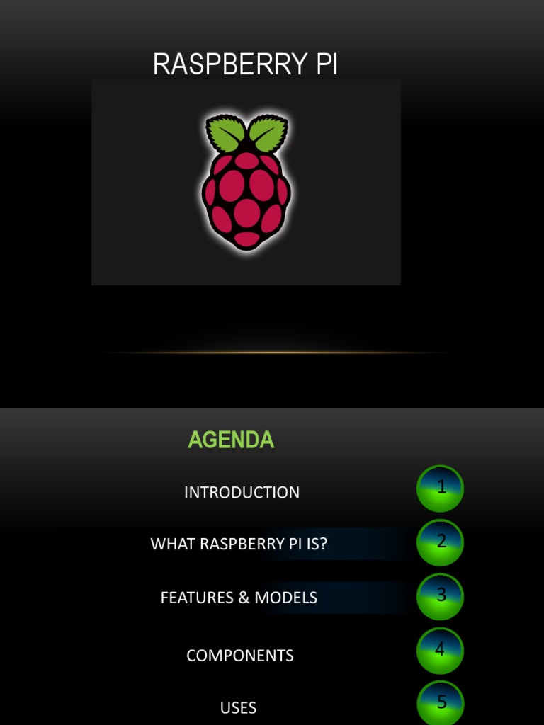 Raspberry Pi | PDF