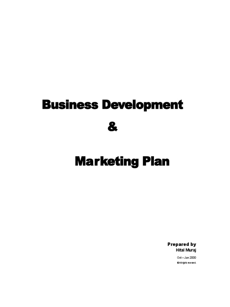 CSP Marketing & Business Development Plan | PDF | Career & Growth