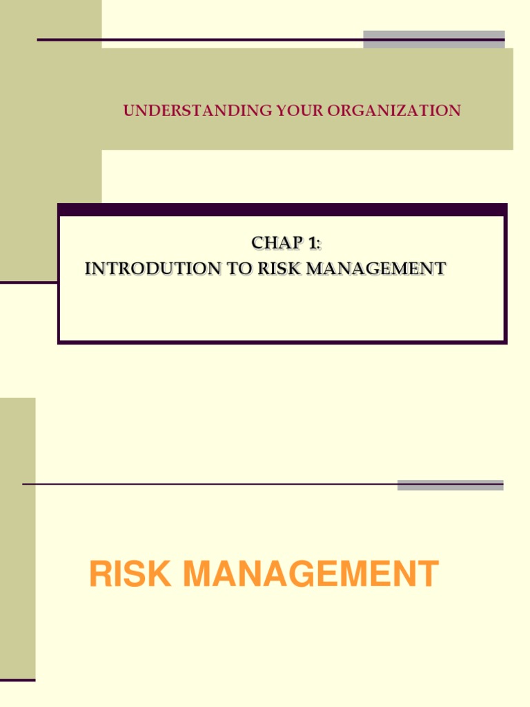 Introduction to Risk Management Concepts | PDF | Risk Management ...
