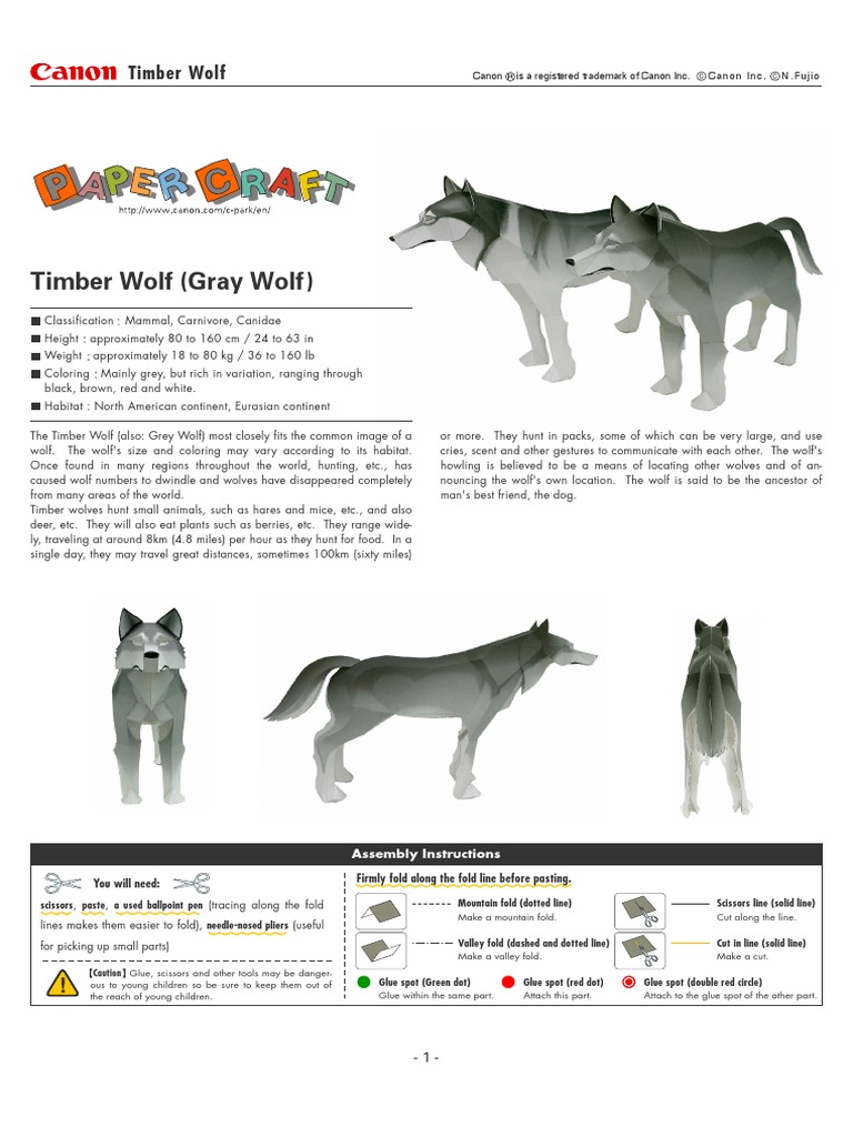 Wolf e A4 | PDF | Gray Wolf | Nature
