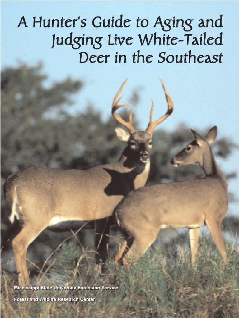 Deer Age | PDF | White Tailed Deer | Deer