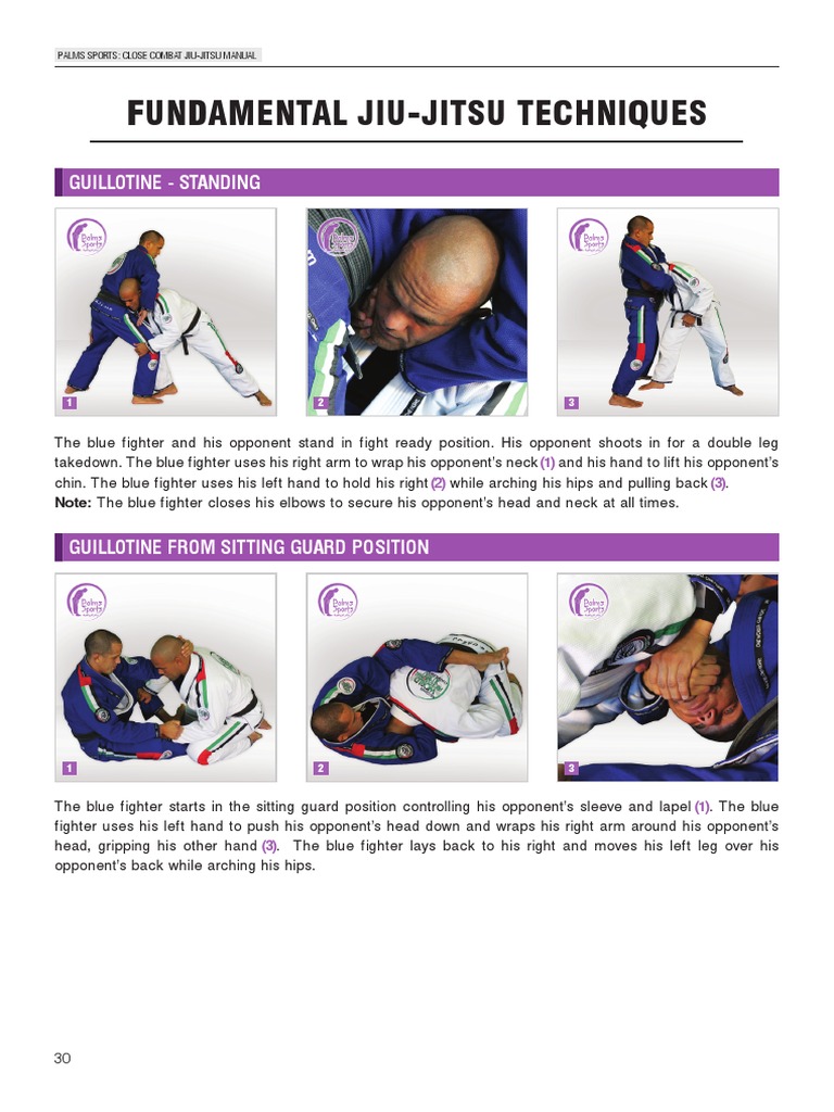 Fundamentals of Jiujitsu | PDF | Brazilian Jiu Jitsu | Combat