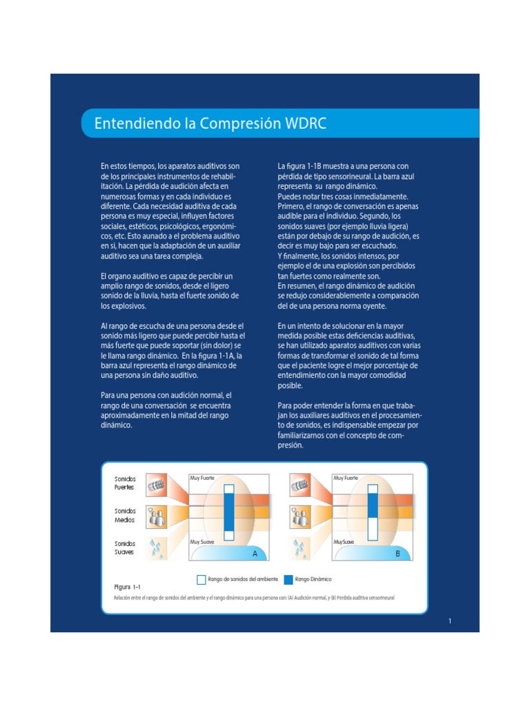Rango Auditivo y Compresión WDRC | PDF | Audífono | Sonido