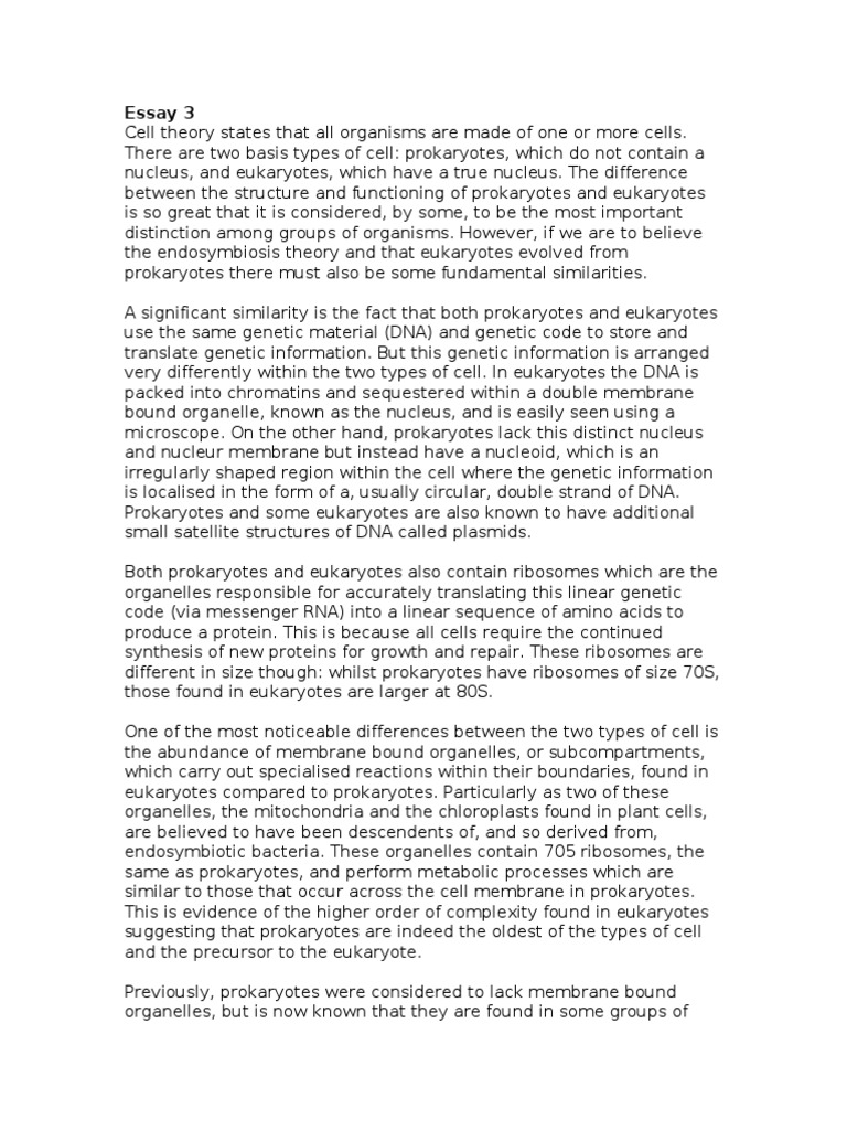Essay 3 | PDF | Prokaryote | Cell (Biology)