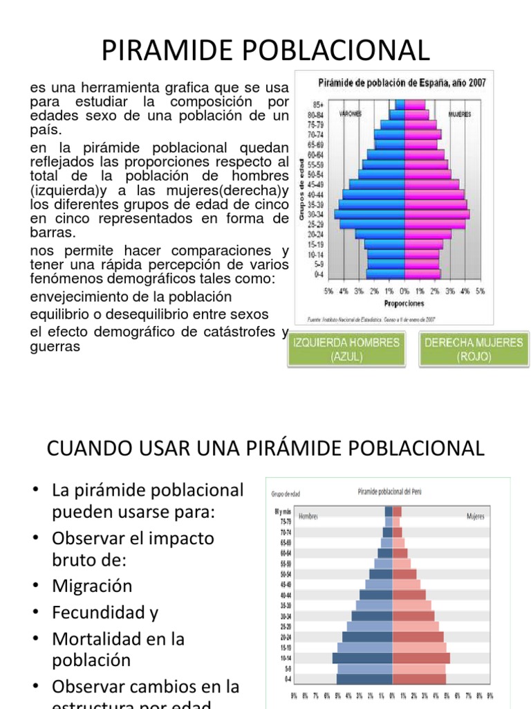Tipos y usos de la pirámide poblacional | PDF | Población | Demografía