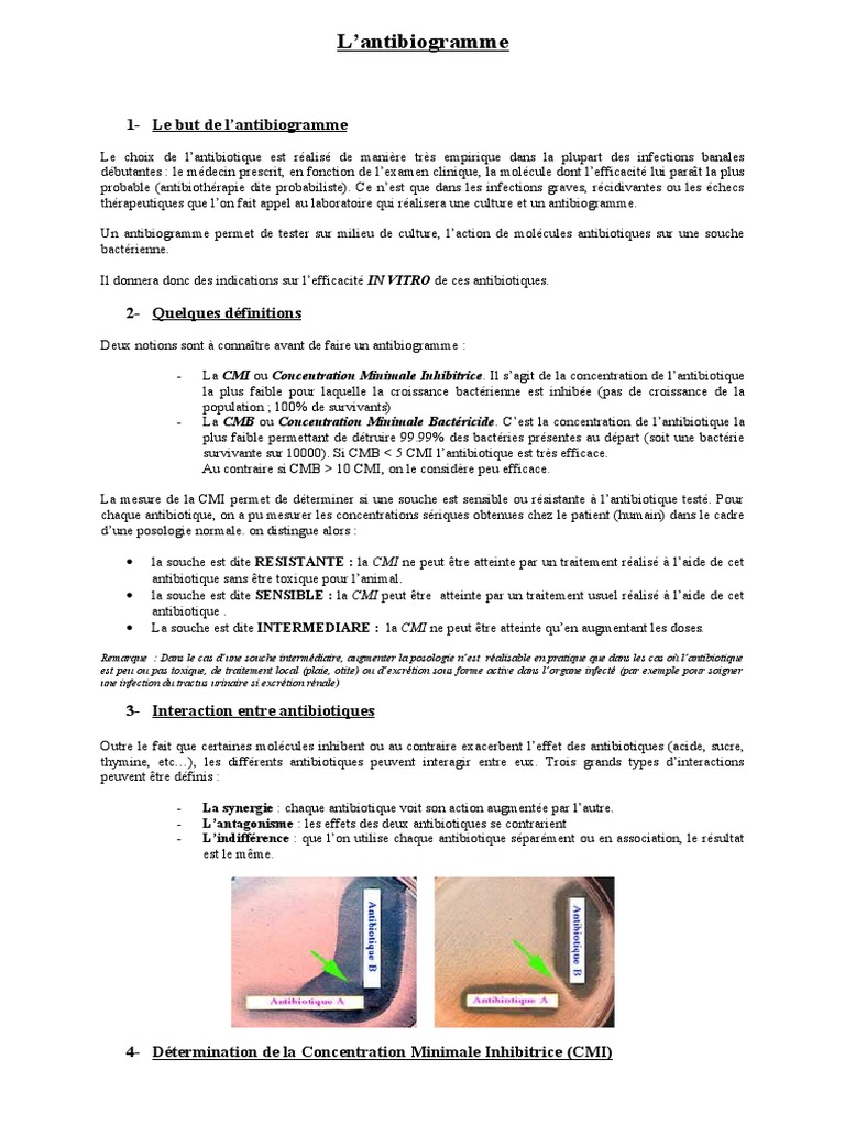 Antibiogramme | PDF | Antibiotiques | Pathologie clinique