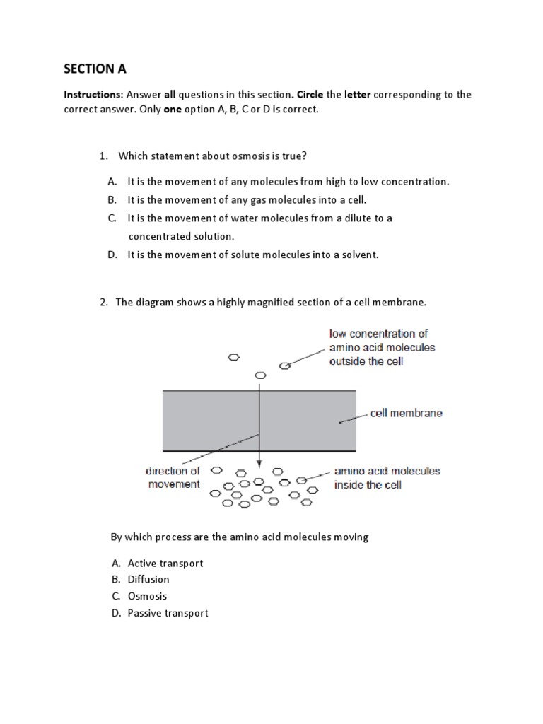 HSB Unit Test 2 | PDF | Osmosis | Diffusion