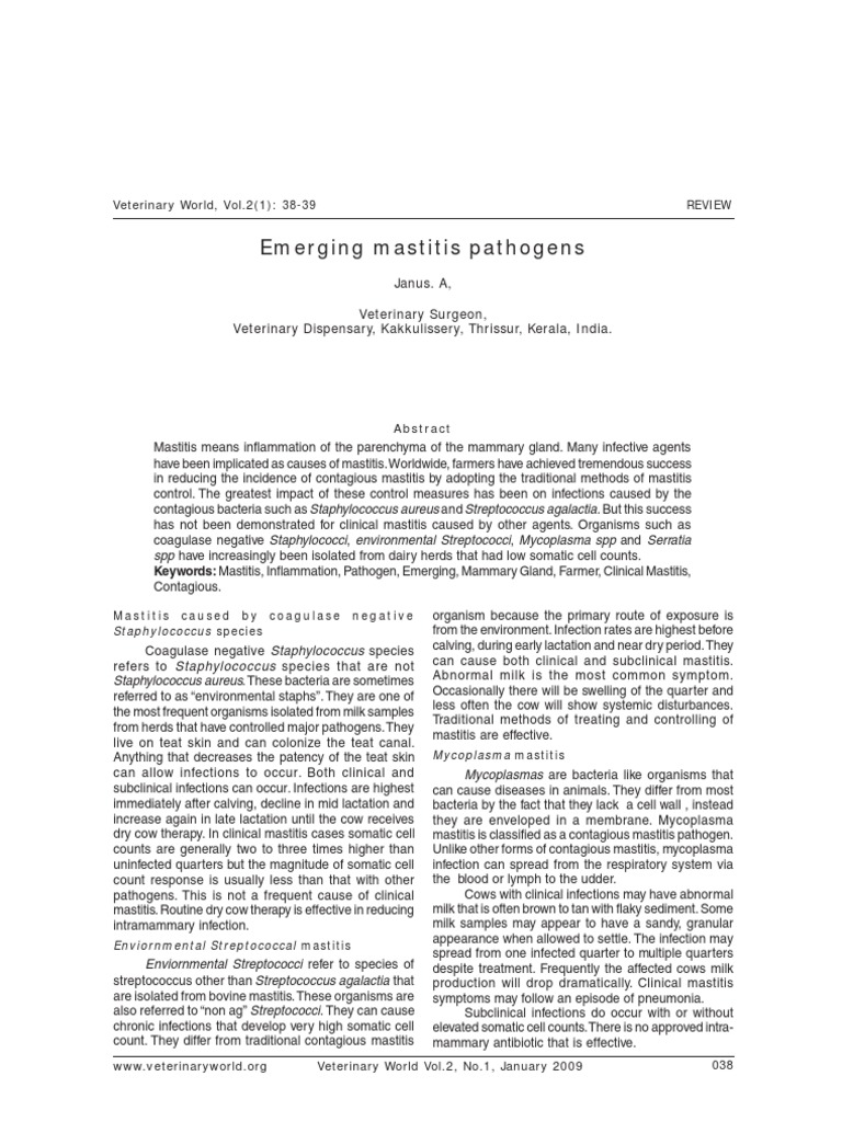 Emerging Mastitis Pathogens | PDF | Streptococcus | Infection