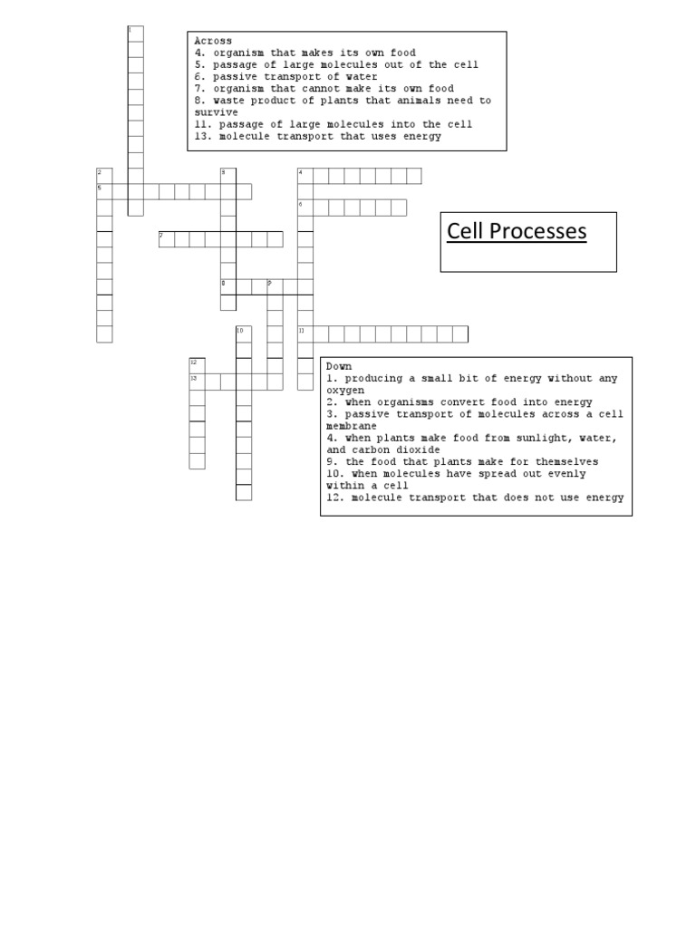 Cell Processes Crossword Puzzle | PDF | Organisms | Cell (Biology)