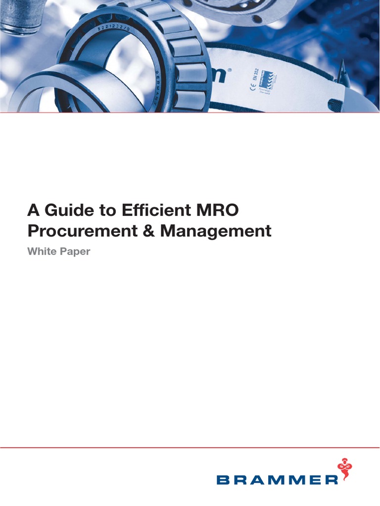 Brammer Efficient MRO Procurement Management | PDF | Supply Chain ...