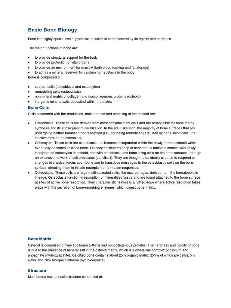 Basic Bone Biology | PDF | Bone | Osteoblast