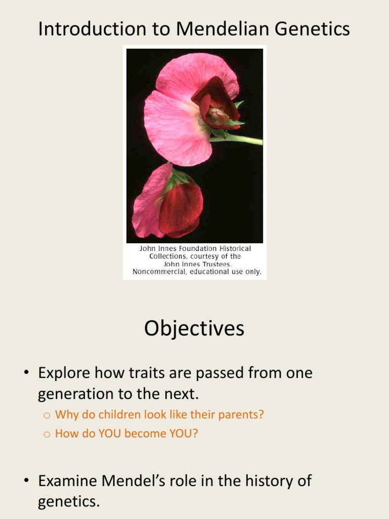 Understanding Mendelian Genetics Basics | PDF | Self-Improvement