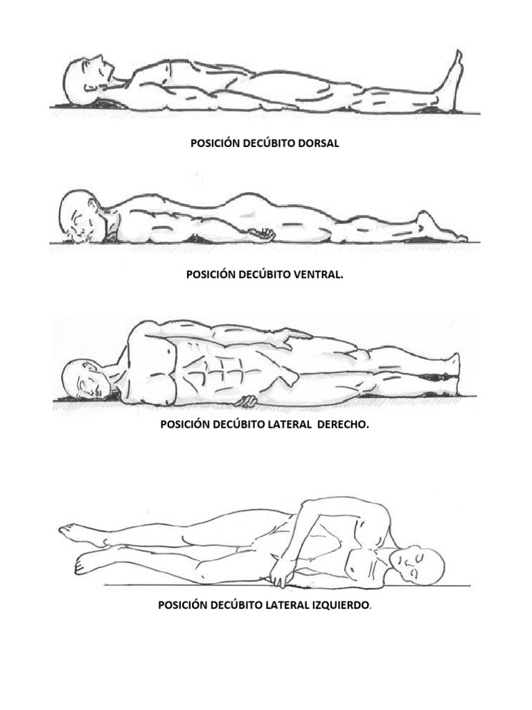 Posición Decúbito Dorsal | PDF | Términos anatómicos de ubicación ...