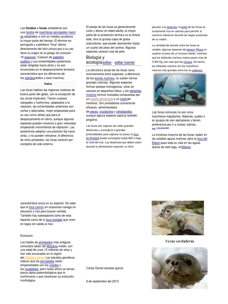Focas | PDF | Naturaleza