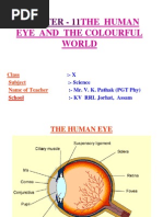 Class 10 Science Chapter 11 The Human Eye and The Colourful World Notes ...