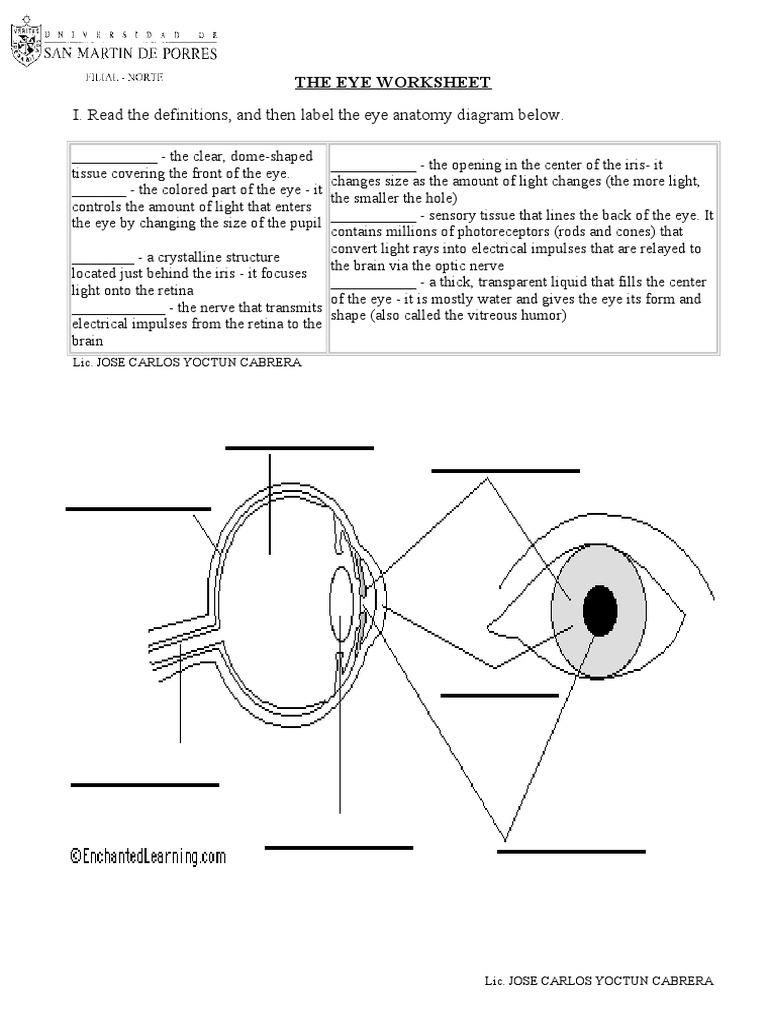 The Eye Worksheet | PDF | Eye | Retina