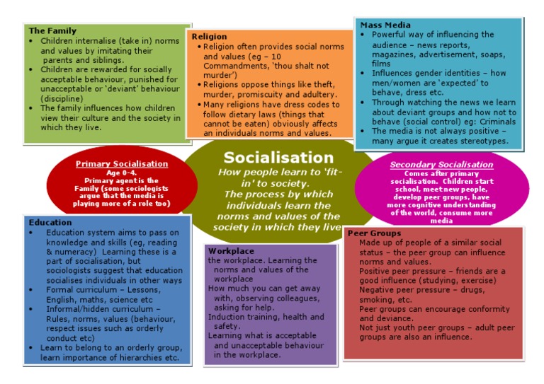 socialisation sheet revision | Socialization | Norm (Social)