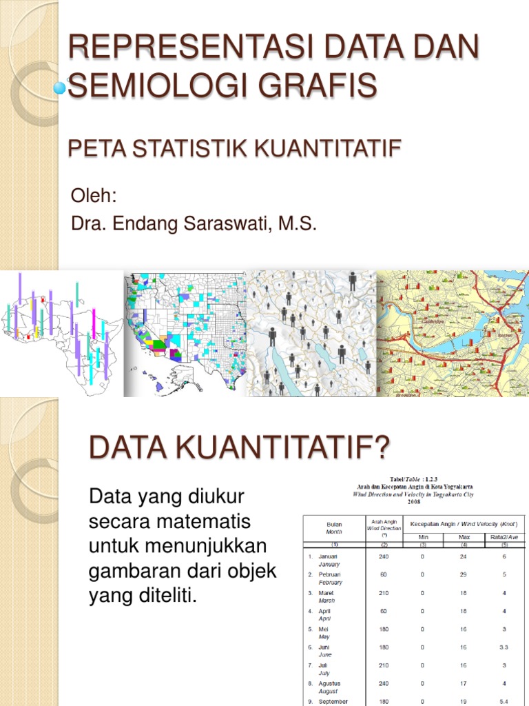 Visualizing Quantitative Data | PDF
