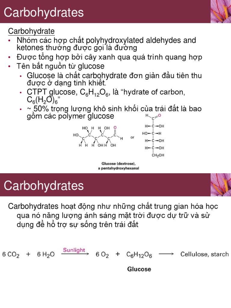 Carbohydrate Fischer Projection VN | PDF