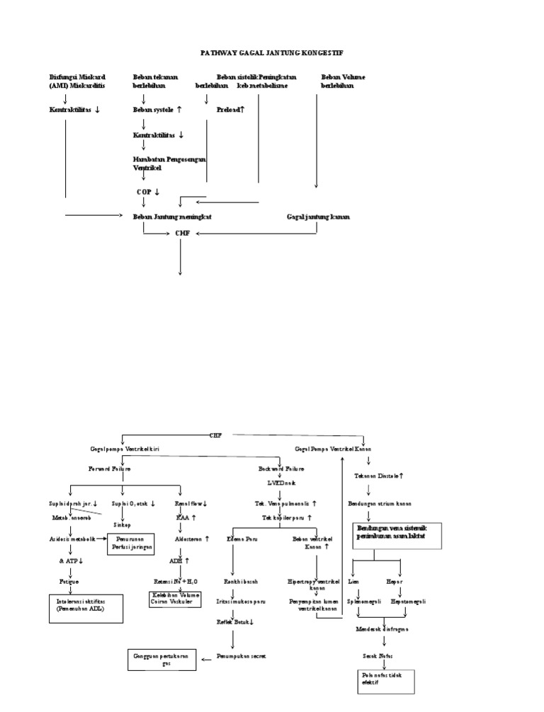Lam. Pathway Gagal Jantung Kongesti | PDF | Cardiovascular Diseases ...
