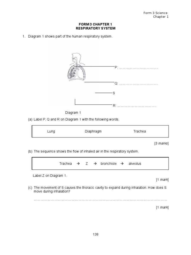 Form 3 Respiratory System Overview | PDF | Respiratory System | Respiration